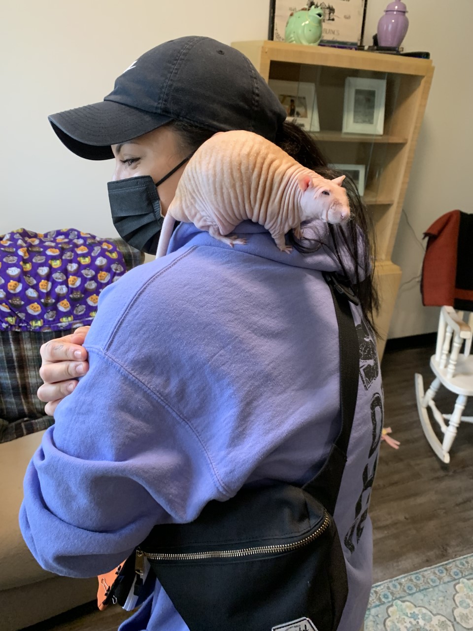 365 Days of Supporting Pets