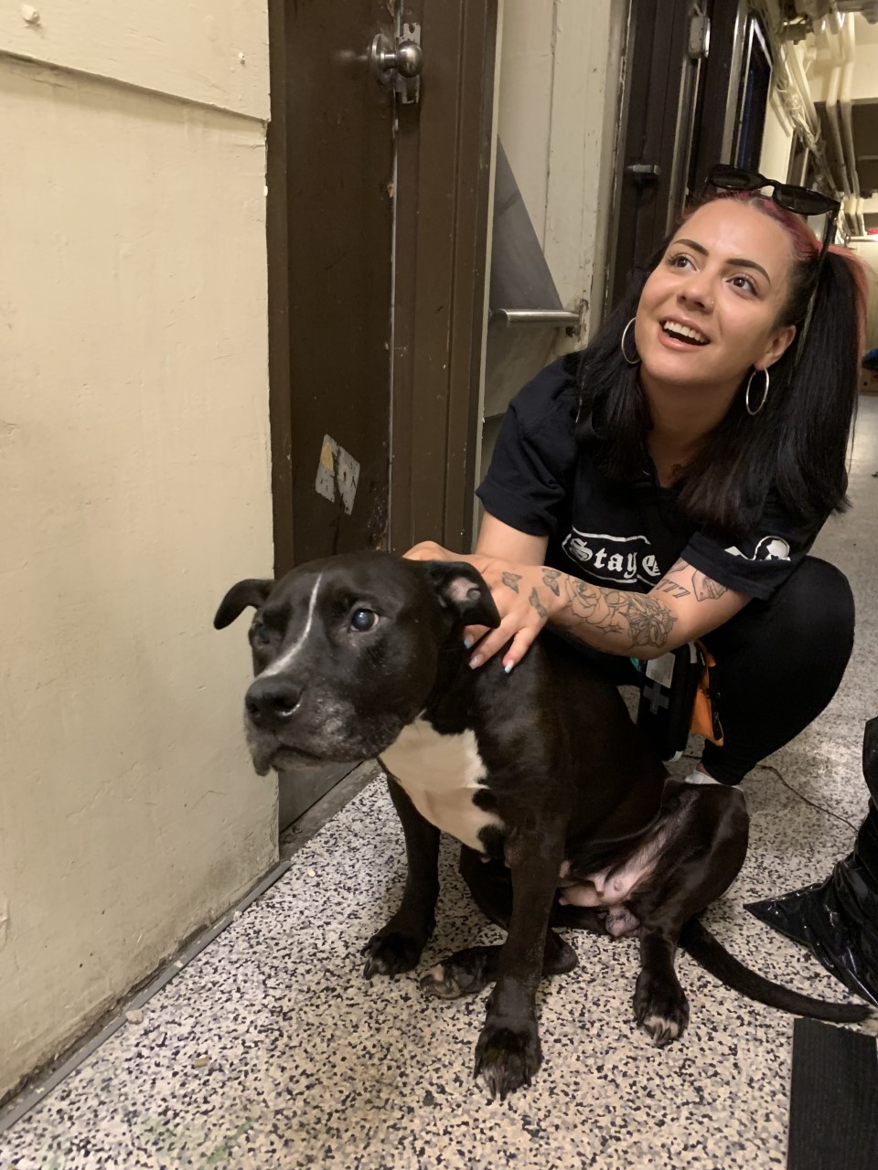 365 Days of Supporting Pets